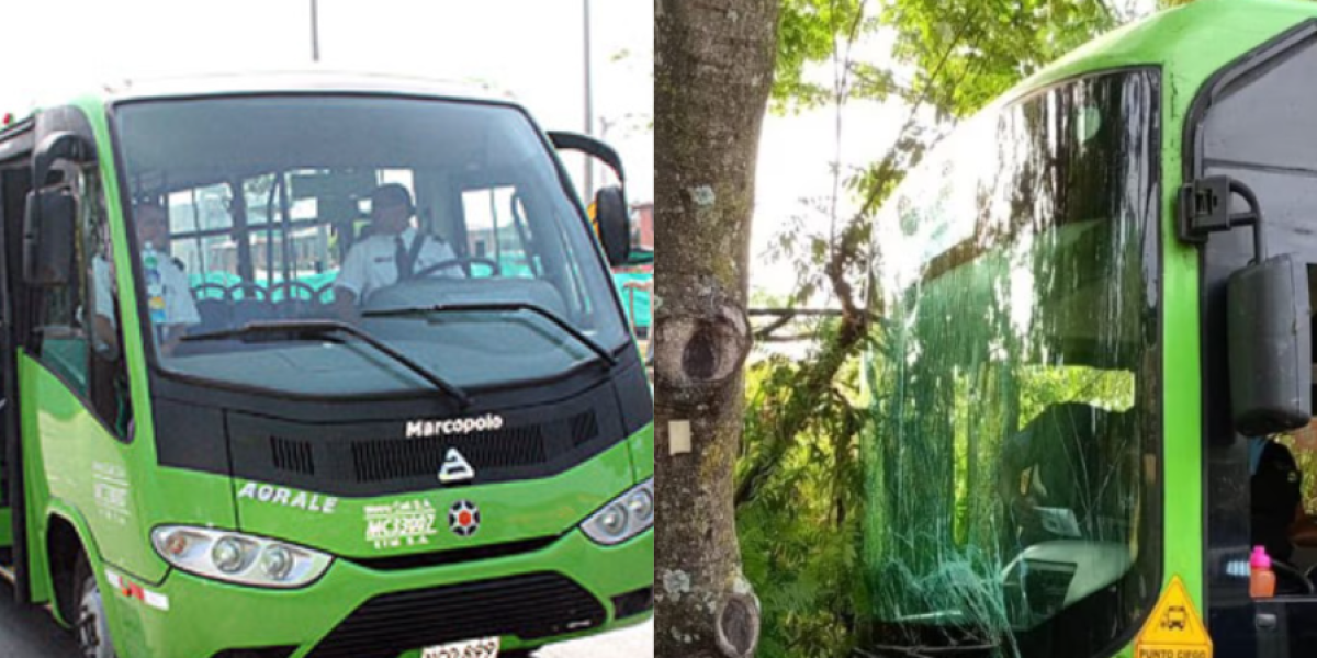 Atención: bus del MIO se estrelló contra un árbol y dejó cuatro heridos ...