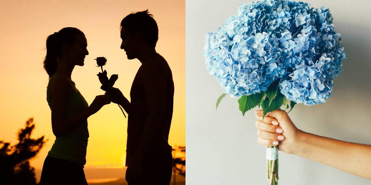 Flores azules: ¿por qué se regalan el 3 de octubre y qué significan?