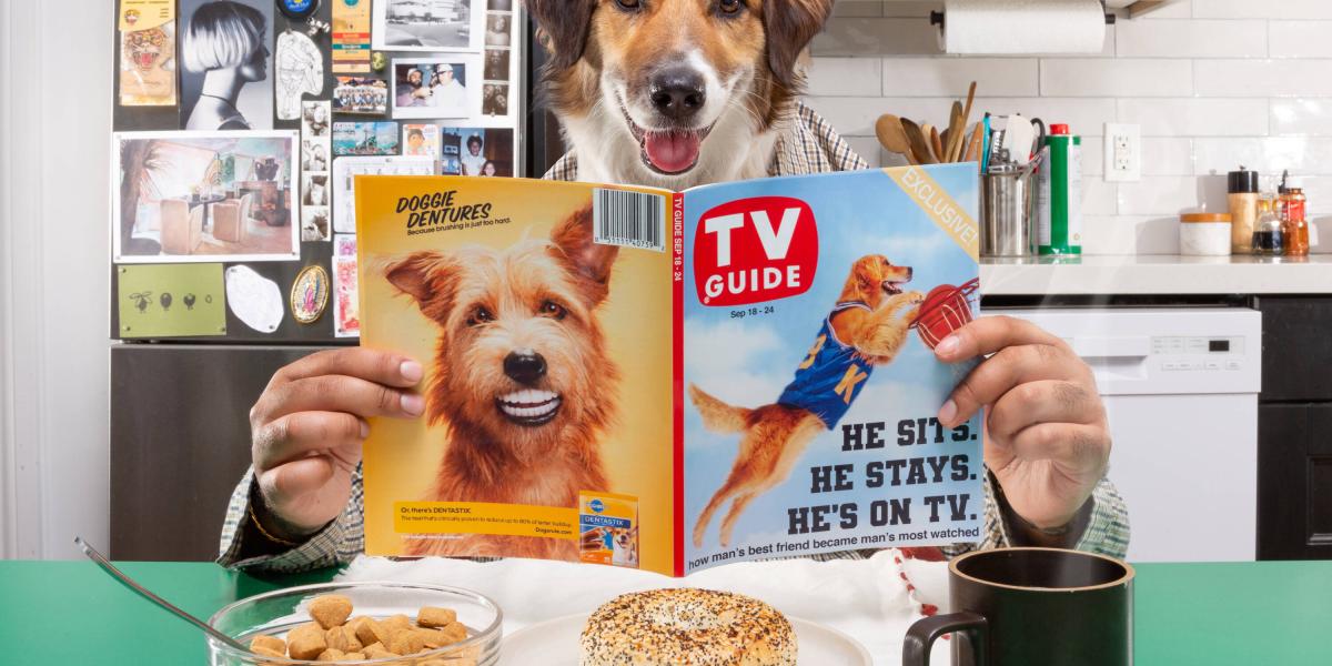 DogTv: el programa de televisión para los perros que se quedan en las casas