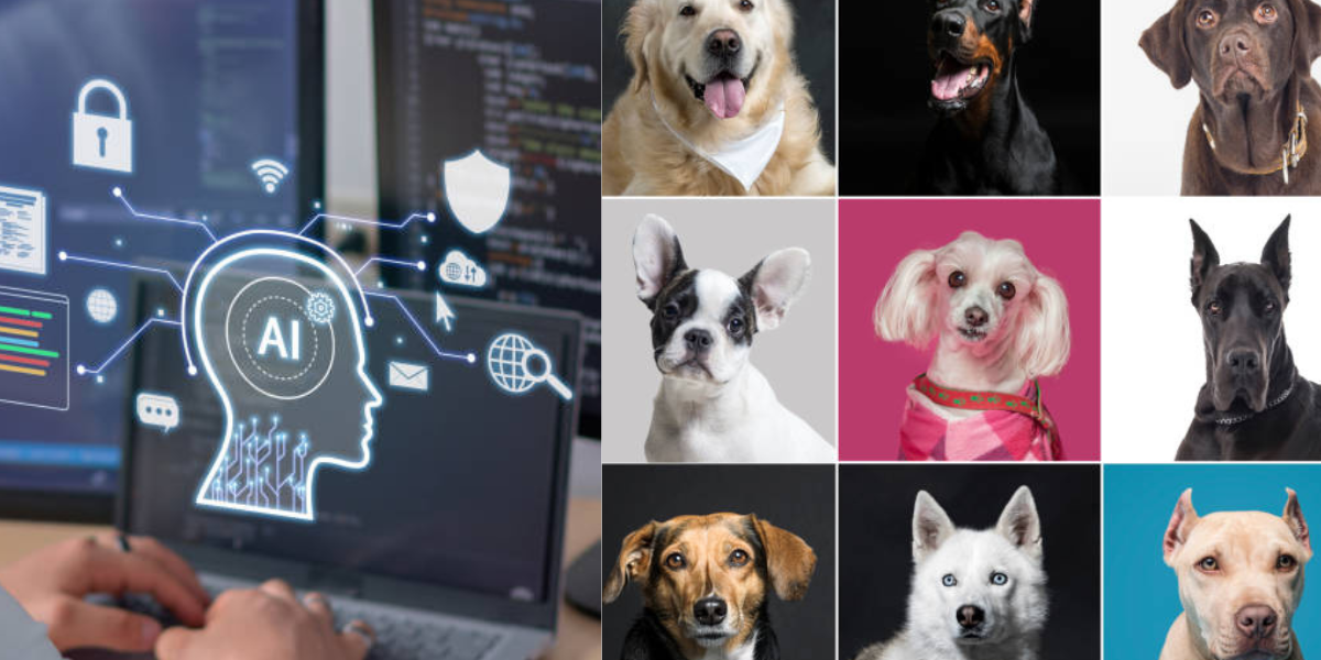 ¿Cuáles son los perros más lindos del mundo, según la inteligencia ...