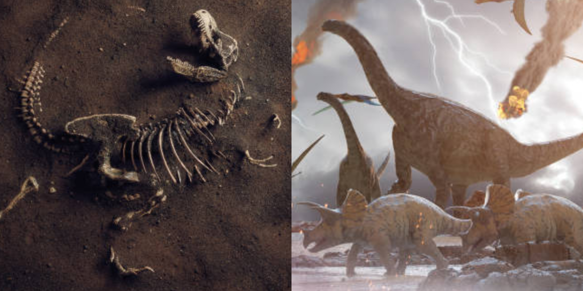 Se cumplen 200 años de estudio de los dinosaurios: ¿qué se sabe y falta ...