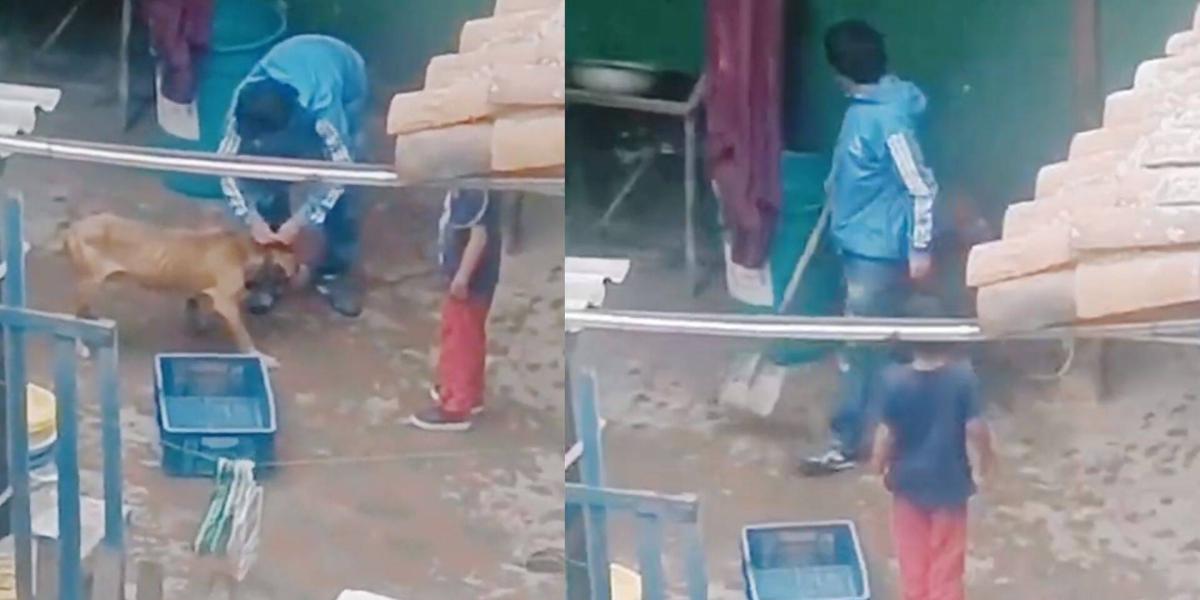 Video: hombre golpeó con una pala a perro en Soacha, autoridades investigan