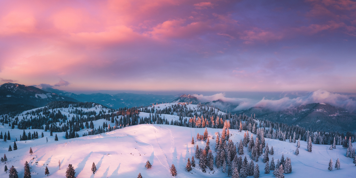 ¿Qué es la nieve rosa y por qué podría afectar los glaciares, según ...
