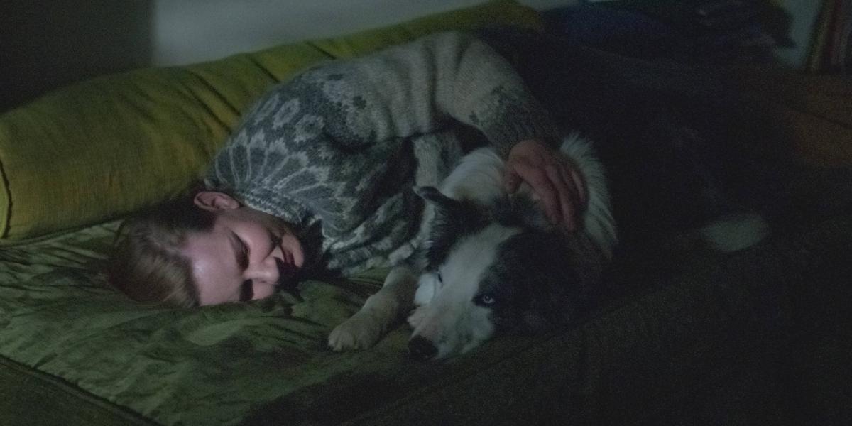 Este es Messi, el increíble perro actor que estará en los Premios Óscar ...