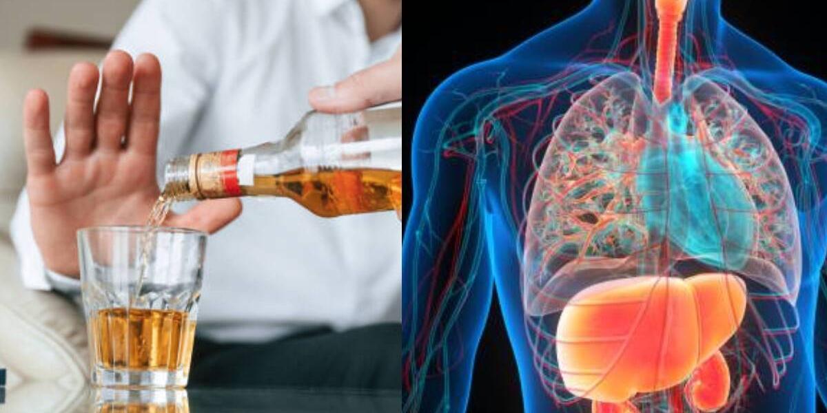 ¿Qué le sucede al cuerpo cuando deja de tomar alcohol y cómo es la ...
