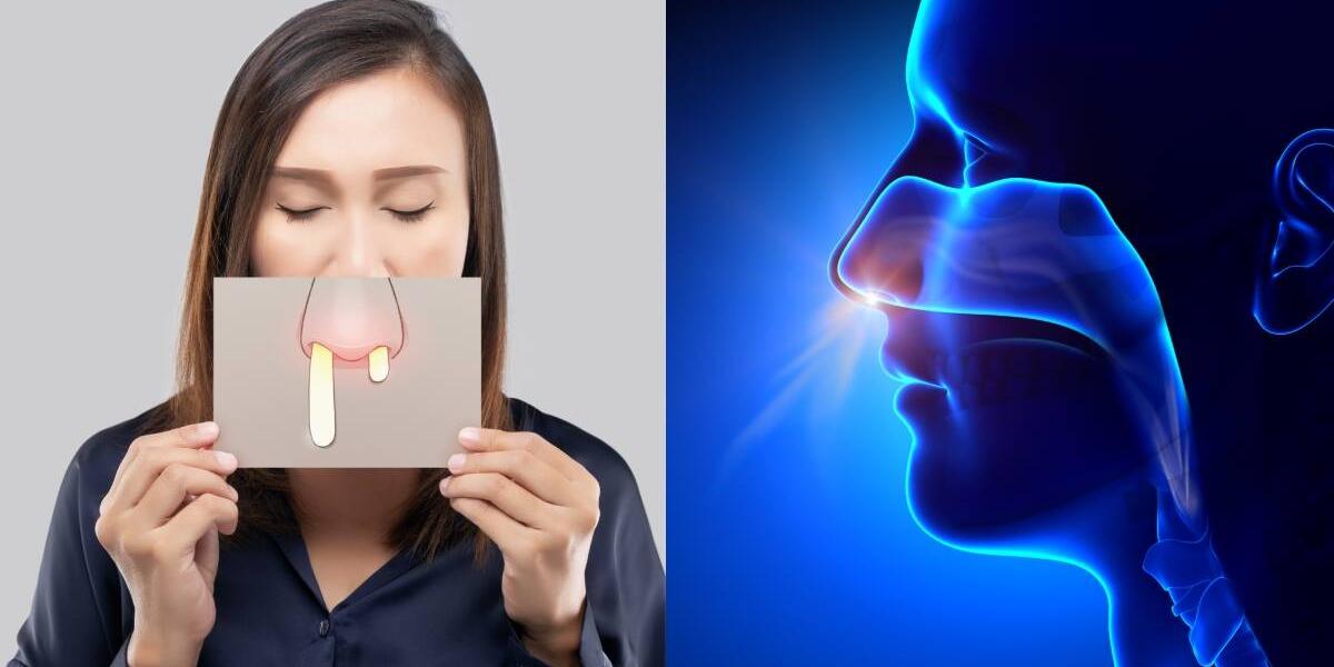 Mucofagia: ¿El hábito de comerse los mocos es un problema psicológico?