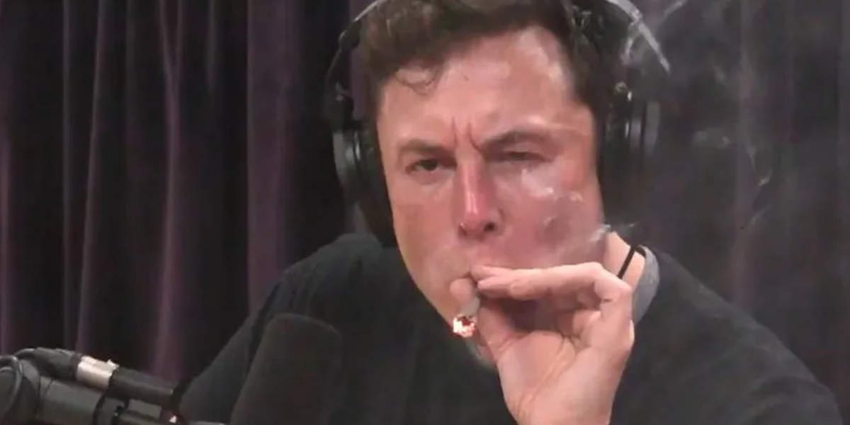 Ejecutivos de Tesla usaron drogas ilegales con Musk: 'Se sintieron ...