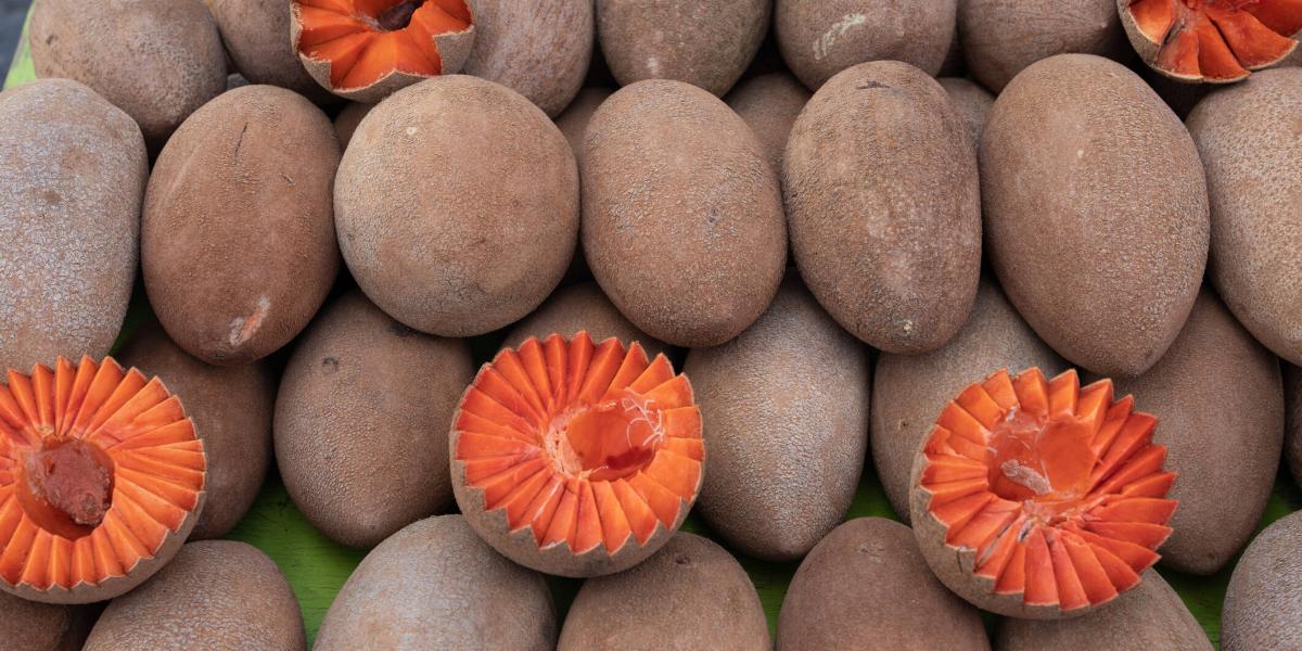 Lúcuma: la fruta ancestral y poco conocida que tiene grandes beneficios ...
