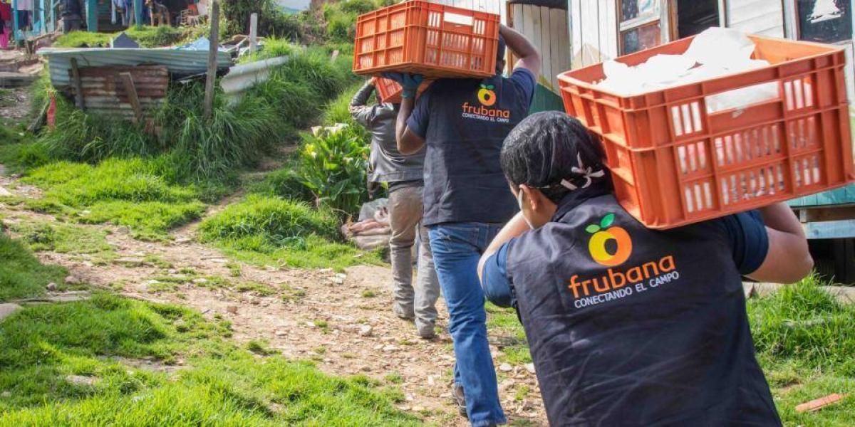 Frubana se va de Colombia, porque se enfocará en Brasil