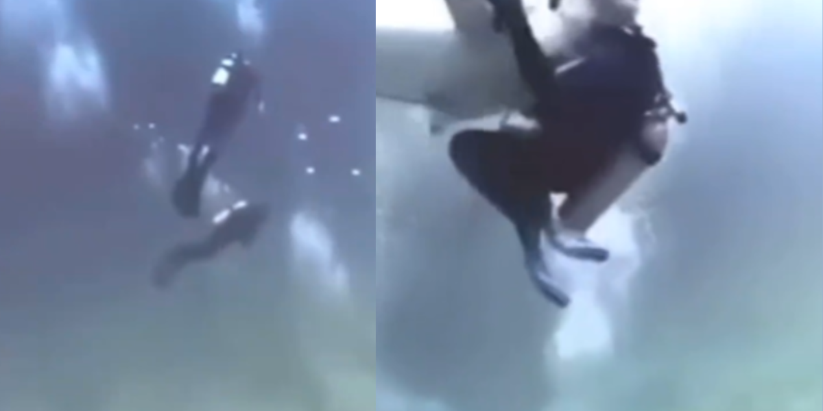 Impactante video muestra a un tiburón atacando a unos buzos en las Maldivas