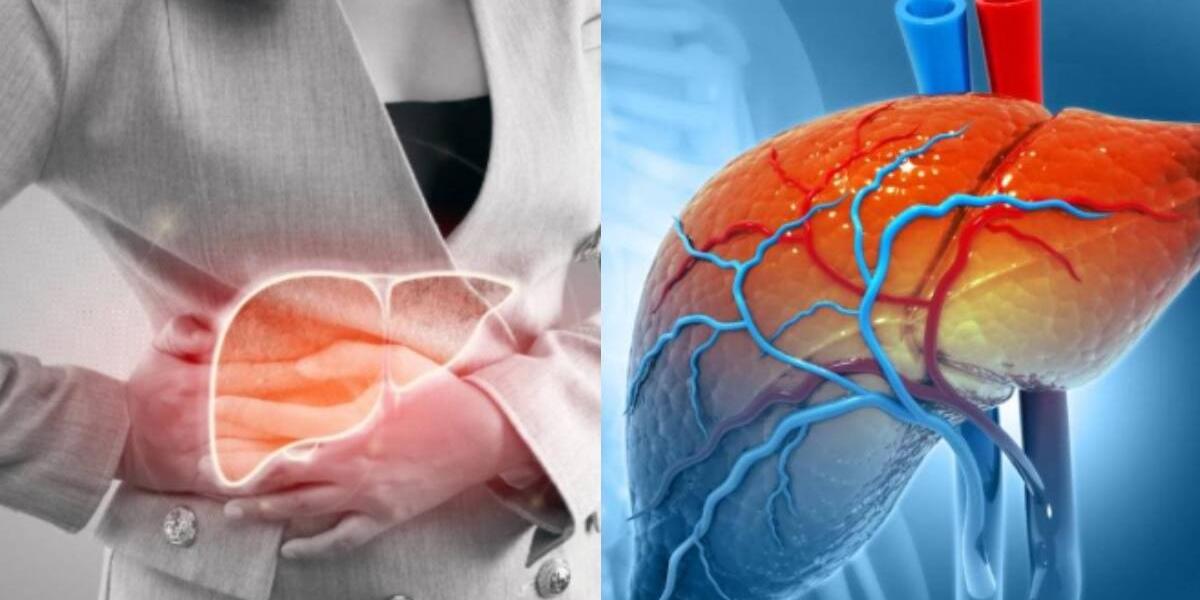 La hora del día en la que se desintoxica el hígado: así lo puede ayudar ...