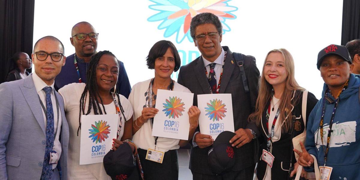 COP16: esta es la imagen oficial del evento inspirada en la flor de Inírida