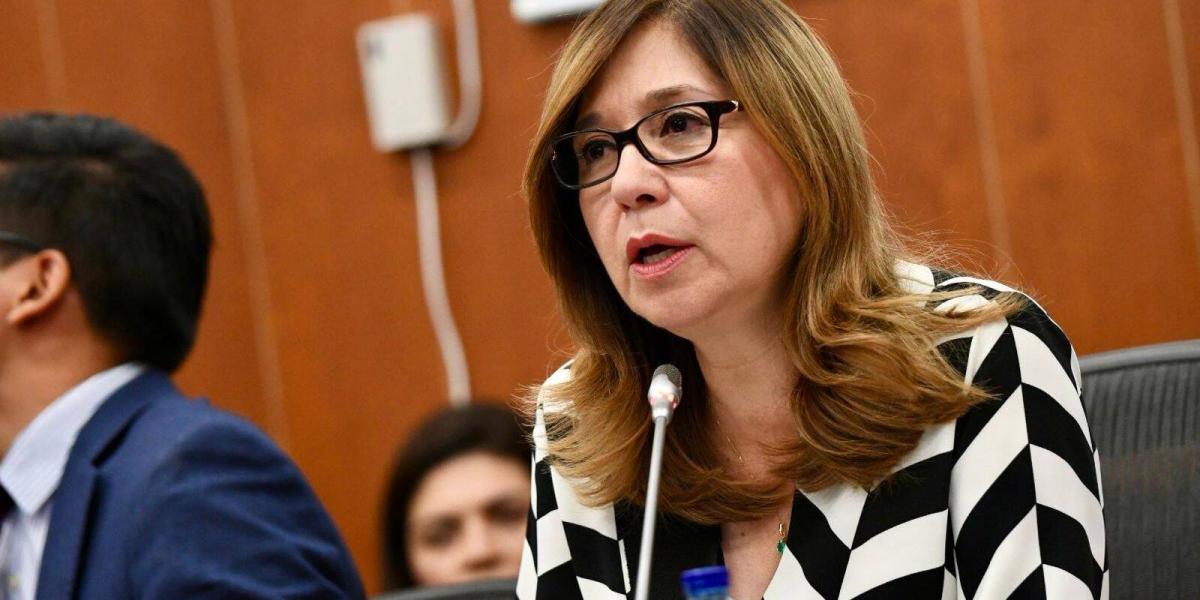 Norma Hurtado reveló el camino a seguir tras el archivo de la reforma ...