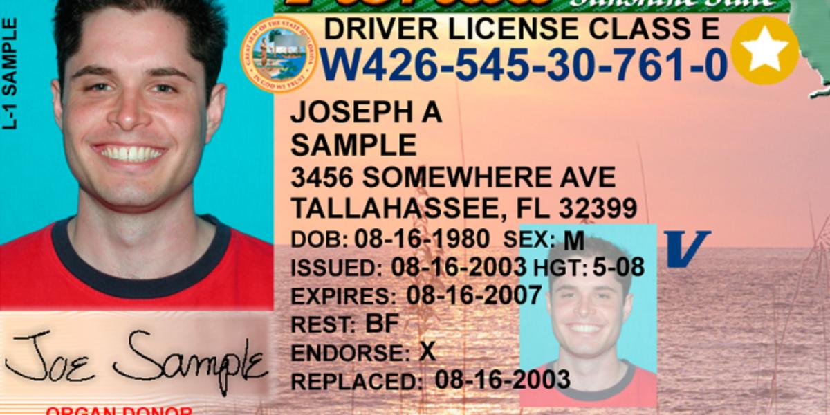 Florida: el paso a paso para tramitar un Real ID en el estado