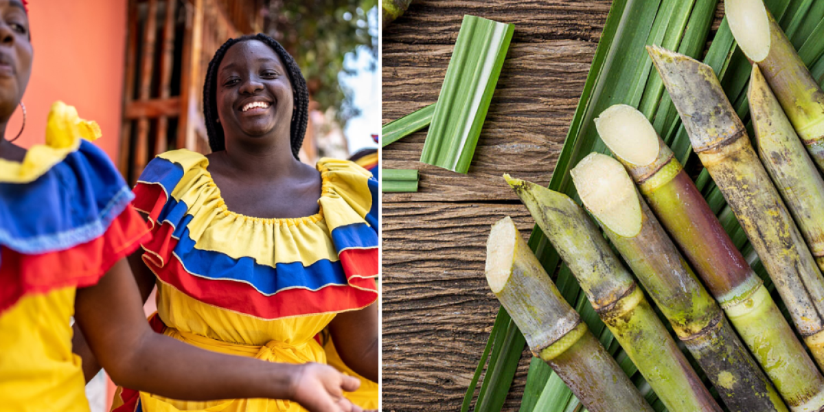 El viche, una bebida que exalta el legado de la medicina tradicional ...