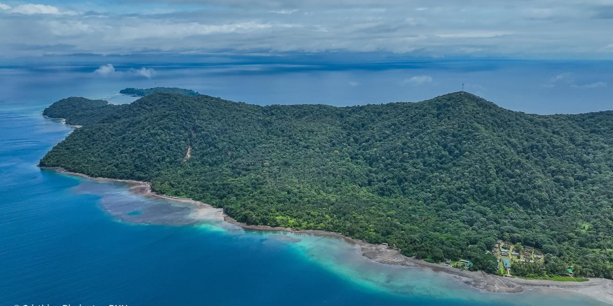 La victoria ambiental de Gorgona a un radar militar estadounidense: ¿como David contra