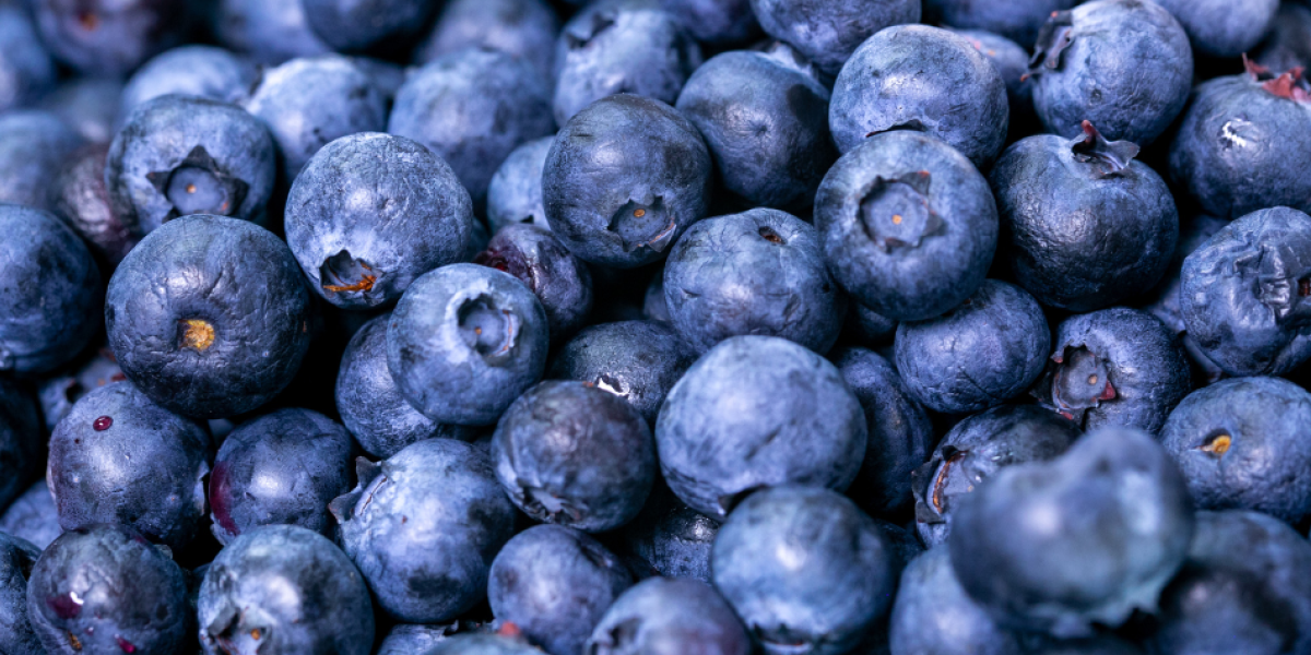 ¿Por qué vemos los arándanos azules? La ciencia lo explica y revela su ...