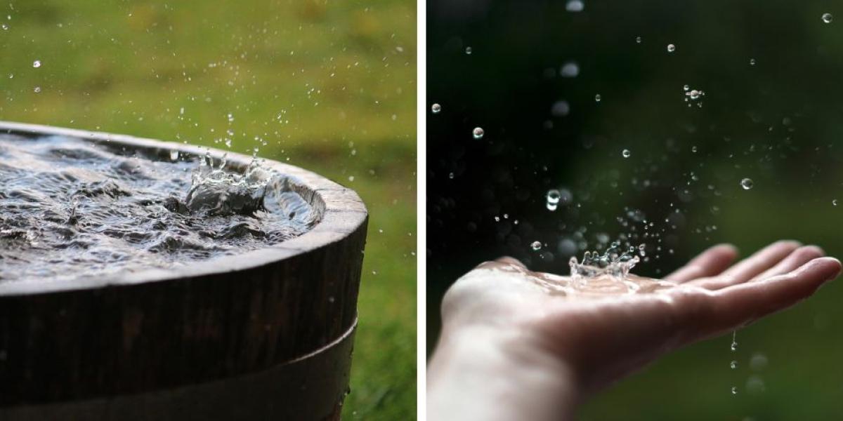 ¿Cómo recolectar agua de lluvia de forma casera? Estos son los usos que ...