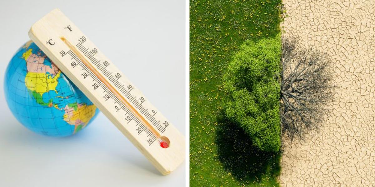 Calentamiento global vs. cambio climático: ¿cuál es la diferencia?