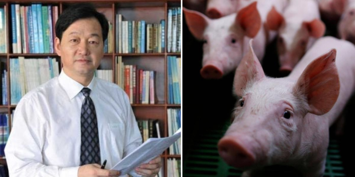 La inesperada historia del empresario chino que se volvió ...