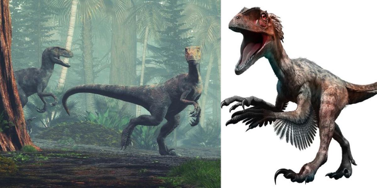 Significado Del Velociraptor En El Lugar De Trabajo Francis En