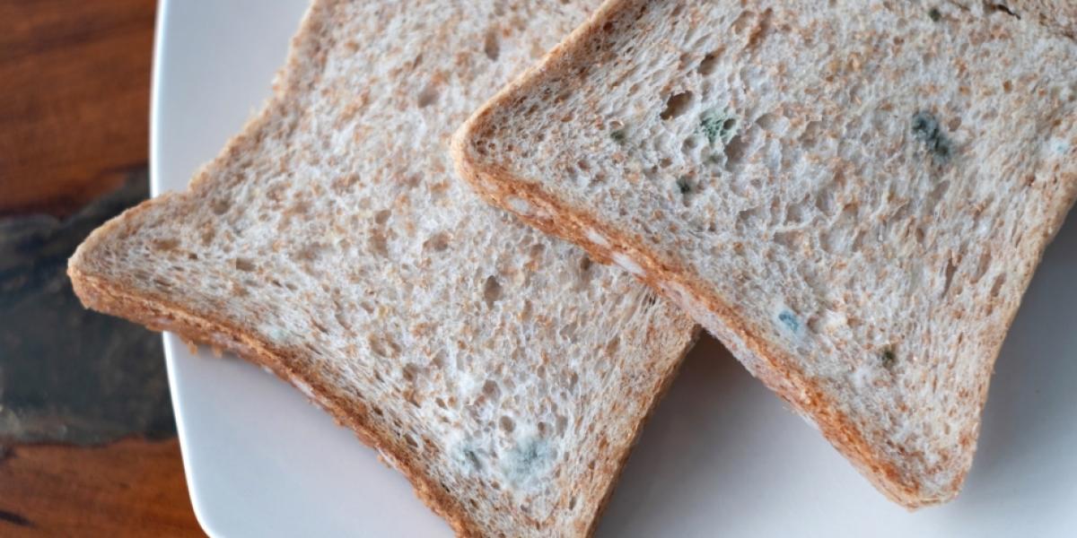 Lo que le pasa a su cuerpo si se come un pan con moho por error: ojo ...