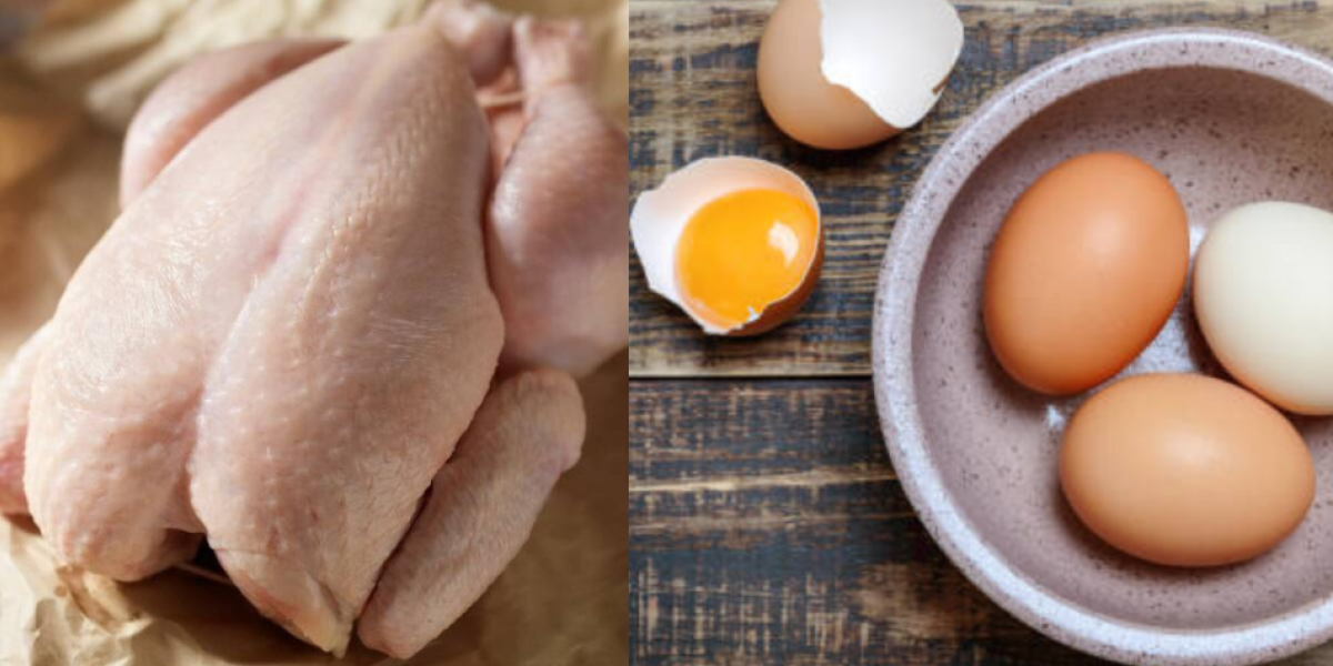 Gripe aviar: ¿se puede contraer el virus por consumir pollo o huevo?