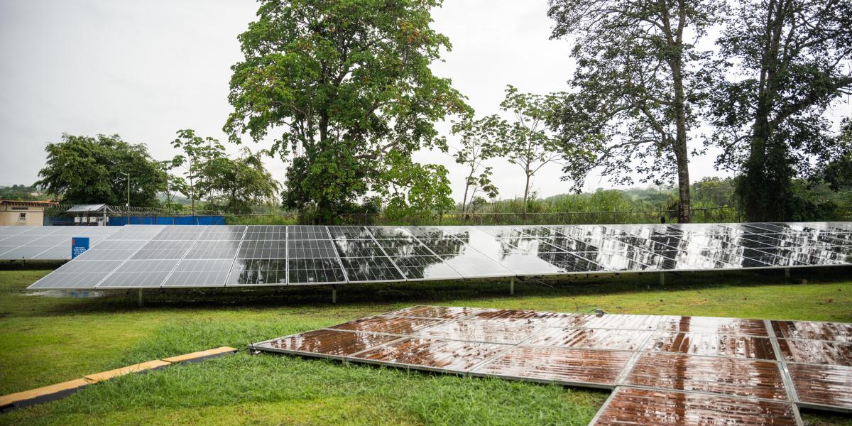 Celsia inaugura nueva granja solar en Panamá para fabricar cervezas con ...