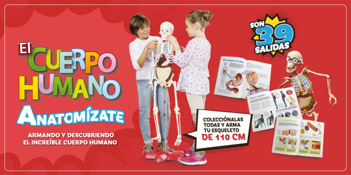 Descubre el cuerpo humano: una colección educativa y divertida