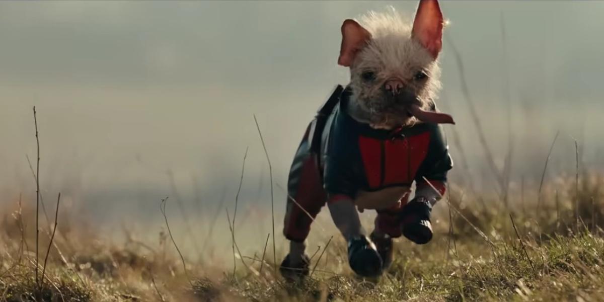 'Dogpool': ¿quién es el perro que debutará en Deadpool y Wolverine, que ...
