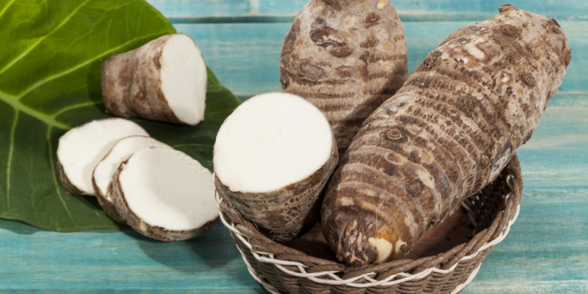 El tubérculo reconocido por su valor para fortalecer la memoria: es ...