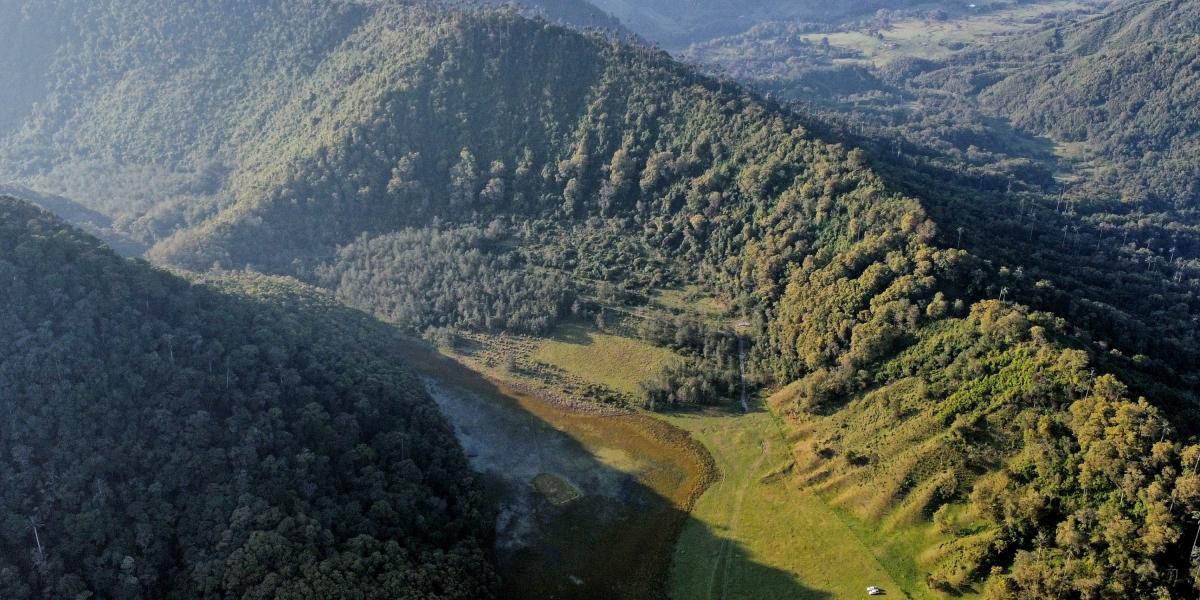 La vida dentro del cráter de Cerro Machín, el volcán enano y altamente ...