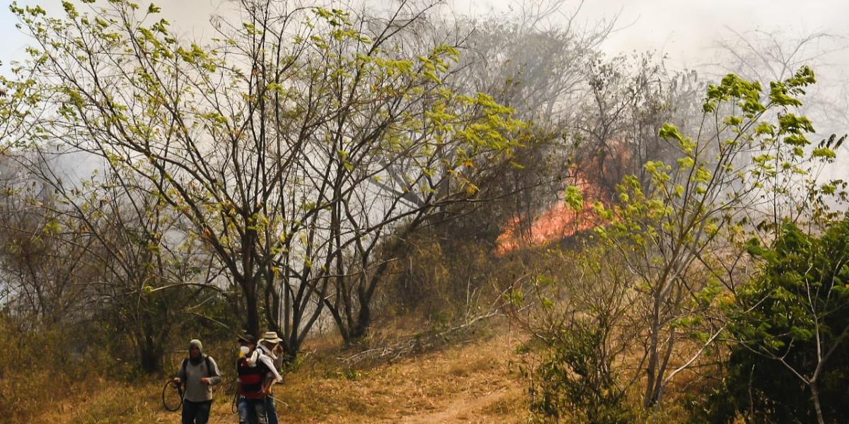 Incendios forestales en Colombia: hay 11 incendios activos y 7.029 ...