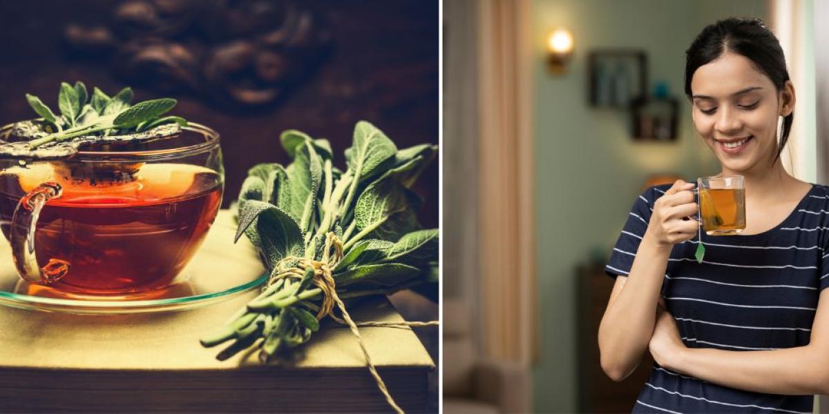 Beneficios del té de salvia: ¿qué ocurre en el cuerpo al consumirlo ...