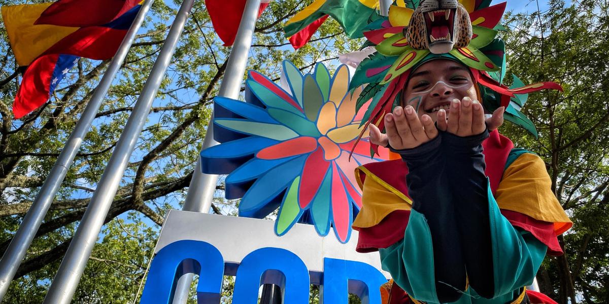 Así avanza la COP16 en Cali en su día dos: programación, eventos ...