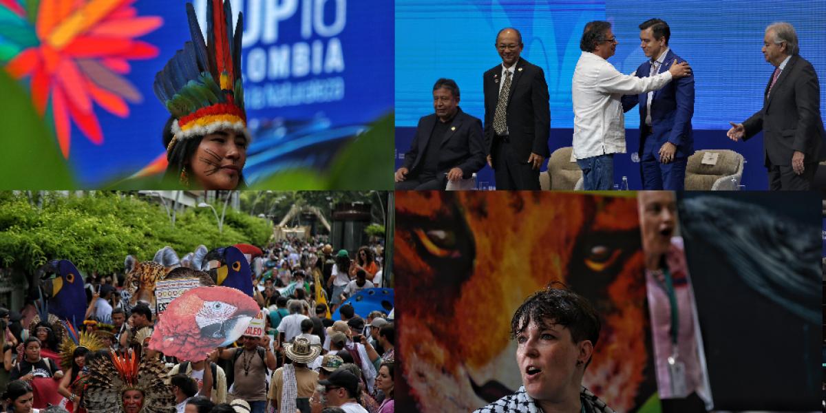 Así avanza la COP16 hoy 30 de octubre en Cali | Eventos, segmento de ...