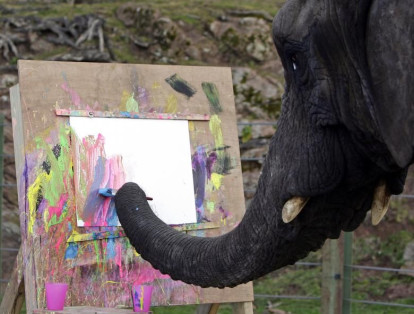 Pinturas Creadas Por Animales Pintoresco Pinturas Al óleo De Vacas En