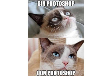 Memes De Gatita La Gata Bajo La Lluvia.
