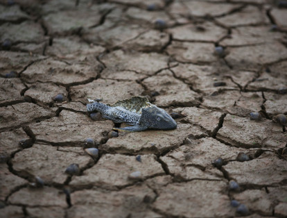 La sequía sigue afectando al Valle del Cauca