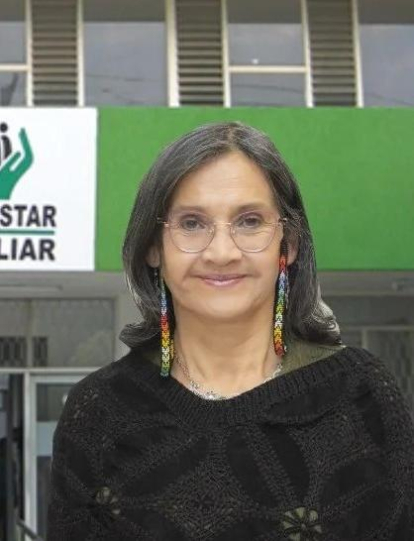 CNE: los auditores mencionados en indagación a campaña Petro por ...