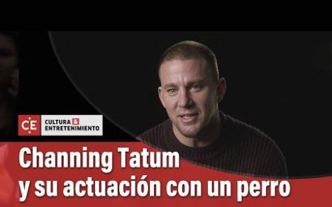 Perro actor: Noticias, Fotos y Videos de Perro actor