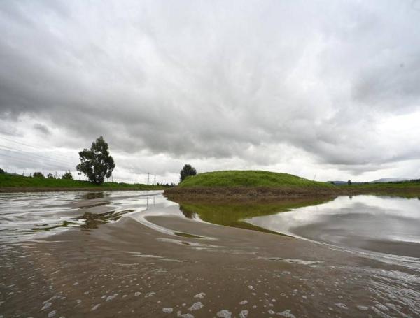 Lo que debe hacer si encuentra con un cangrejo rojo en Bogotá: es muy ...