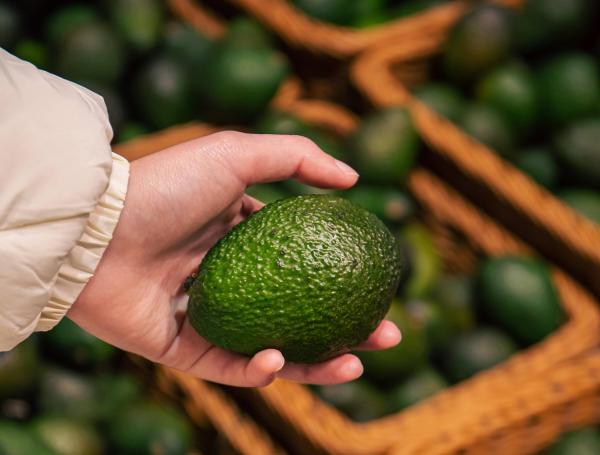 Más de 6.000 toneladas de aguacate Hass colombiano llegarán a Estados ...
