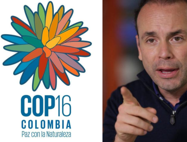 COP16: ¿por qué el símbolo es una flor?; la historia sobre el logo de ...