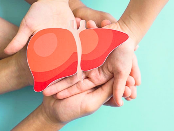 Hígado graso: qué es, por qué aparece y cómo influye la alimentación