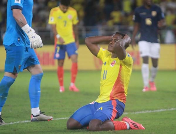 Video: La mujer que se durmió en medio del partido que perdió Colombia ...