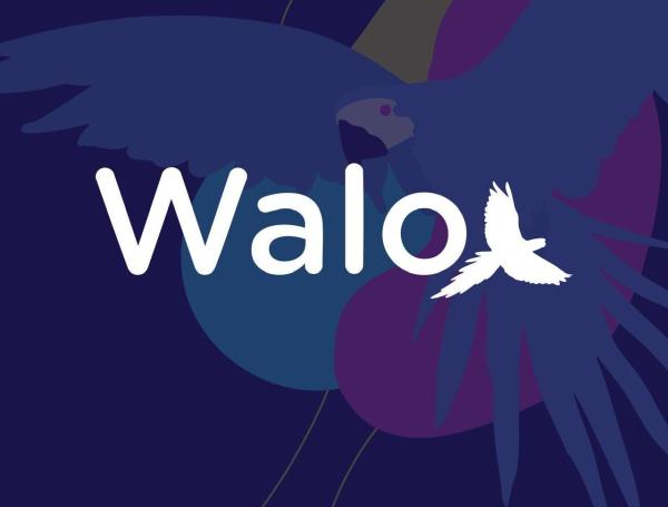Walo pasó de tener una billetera digital a entregar créditos: así puede ...