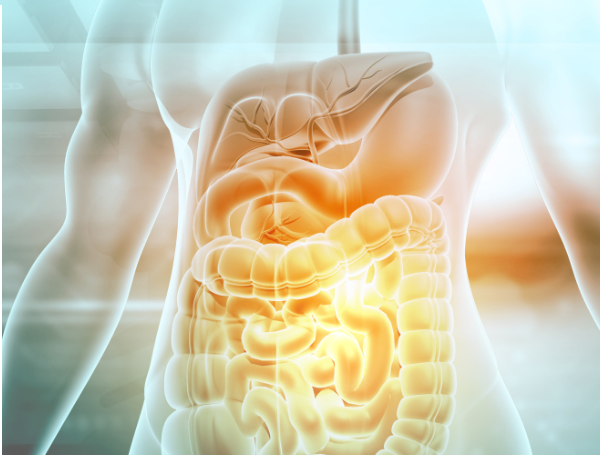 ¿Cómo saber si tiene el colon obstruido? Algunos síntomas que podrían ...