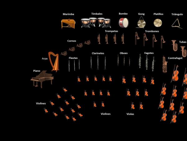 cómo identificar una filarmónica