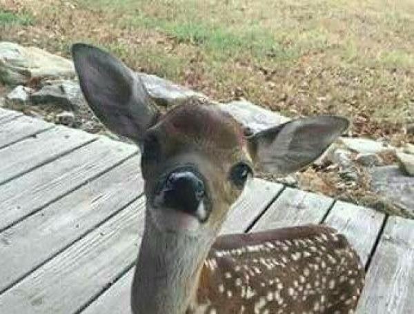 Tayrona Parque: senderismo y avistamiento de fauna y flora
